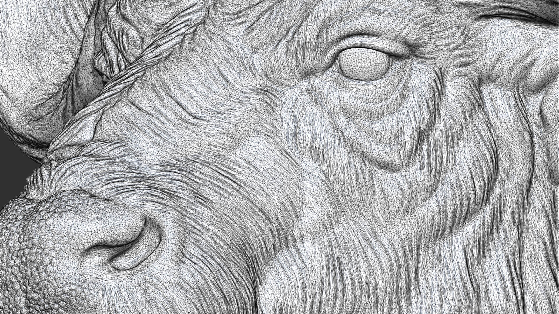 Buffalo Shaggy Head - 3D Model by guninnik81