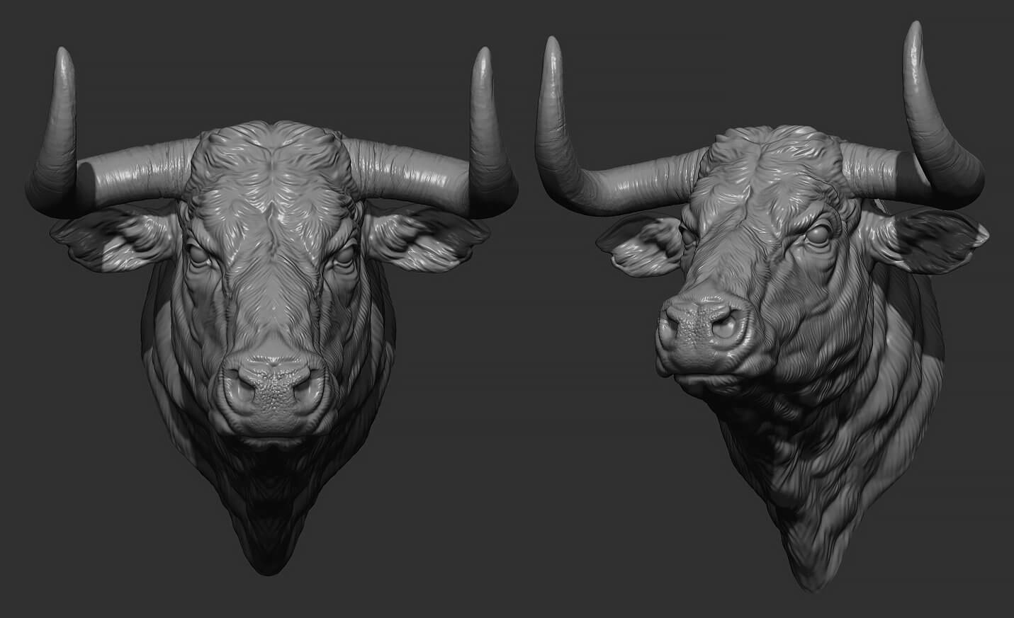 Bull Head Model by guninnik81