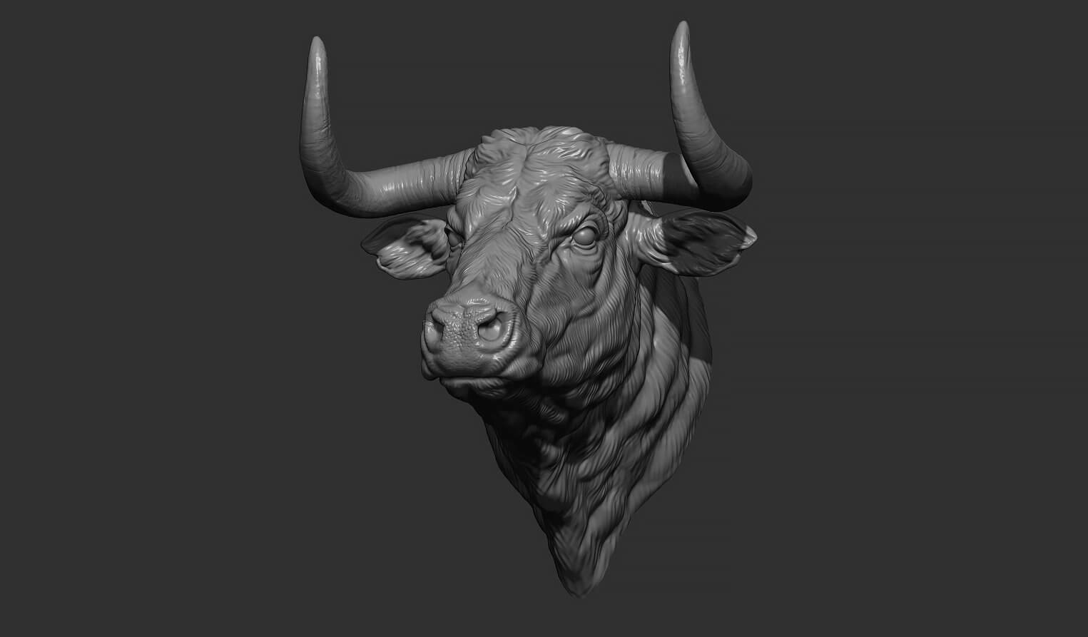 Bull Head Model by guninnik81