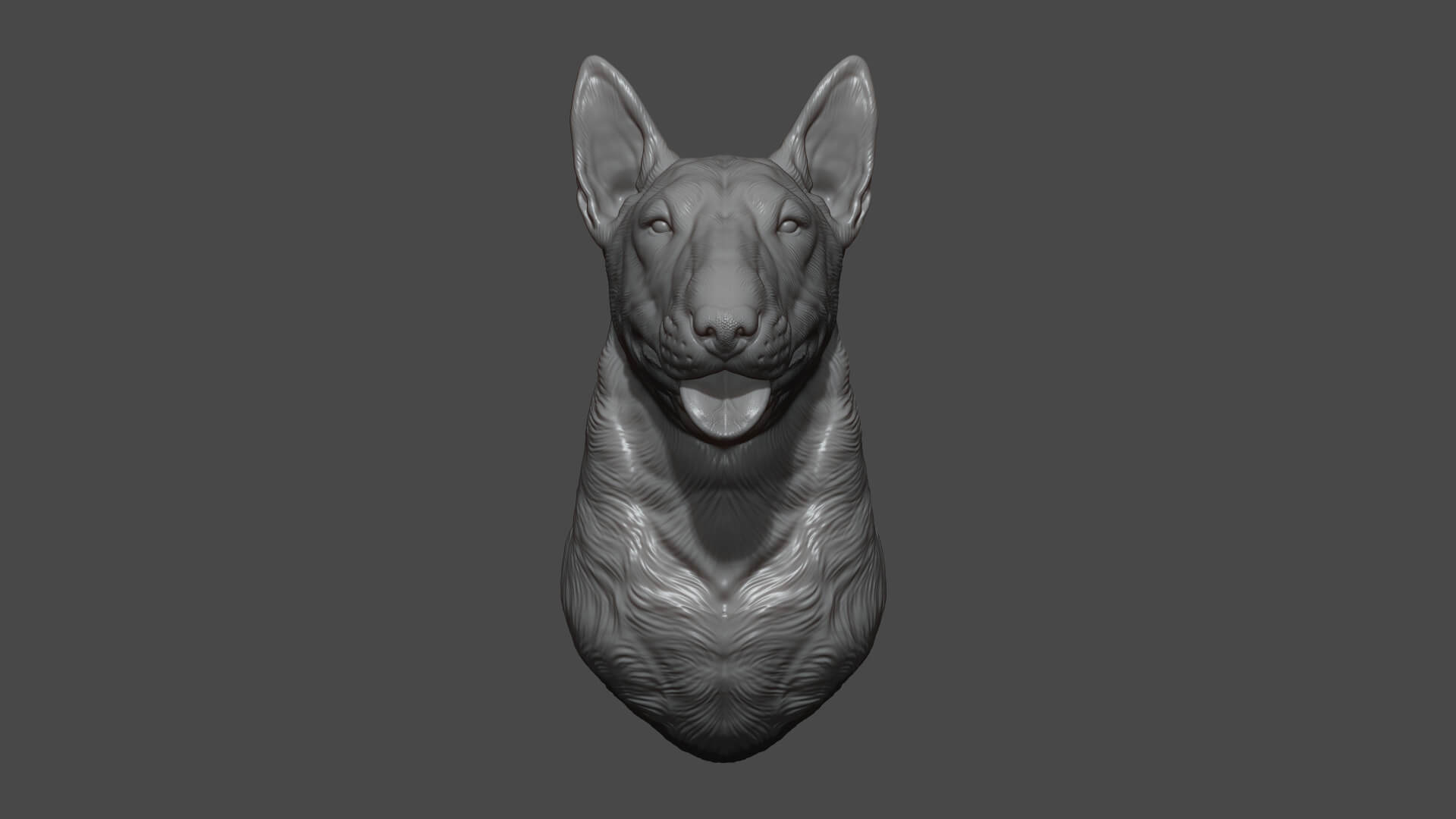Bull Terrier Head - 3D Model by guninnik81