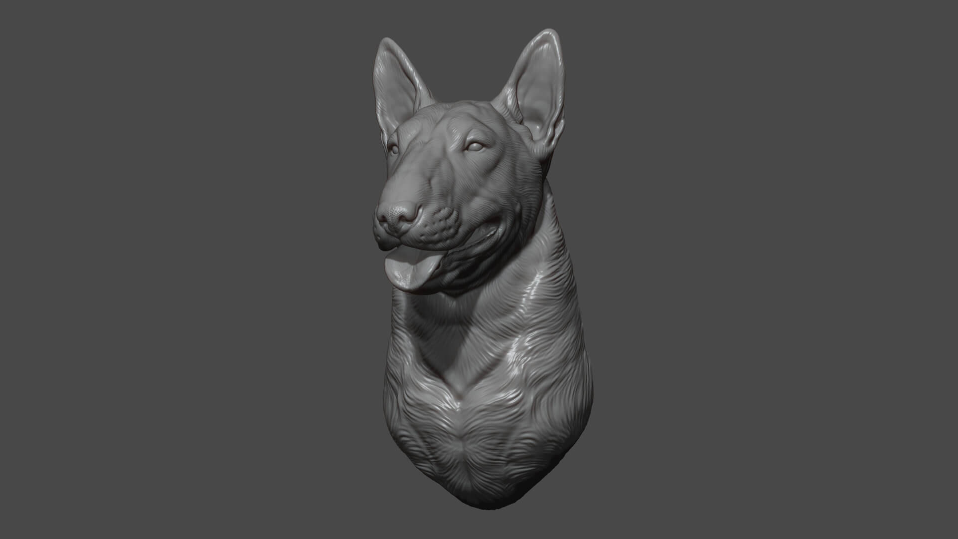 Bull Terrier Head - 3D Model by guninnik81