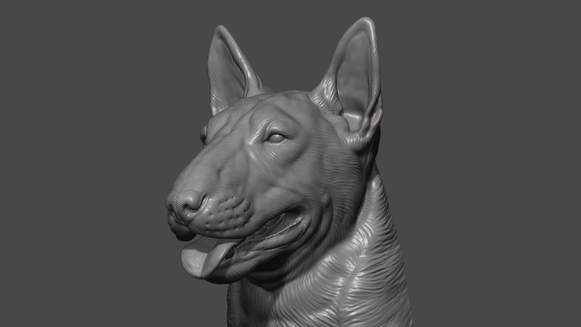 Bull Terrier Head - 3D Model by guninnik81