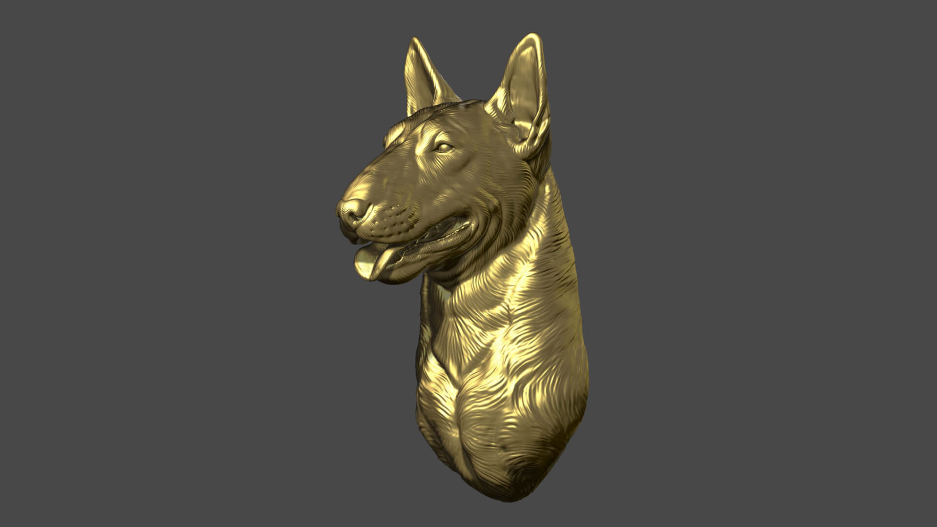 Bull Terrier Head - 3D Model by guninnik81
