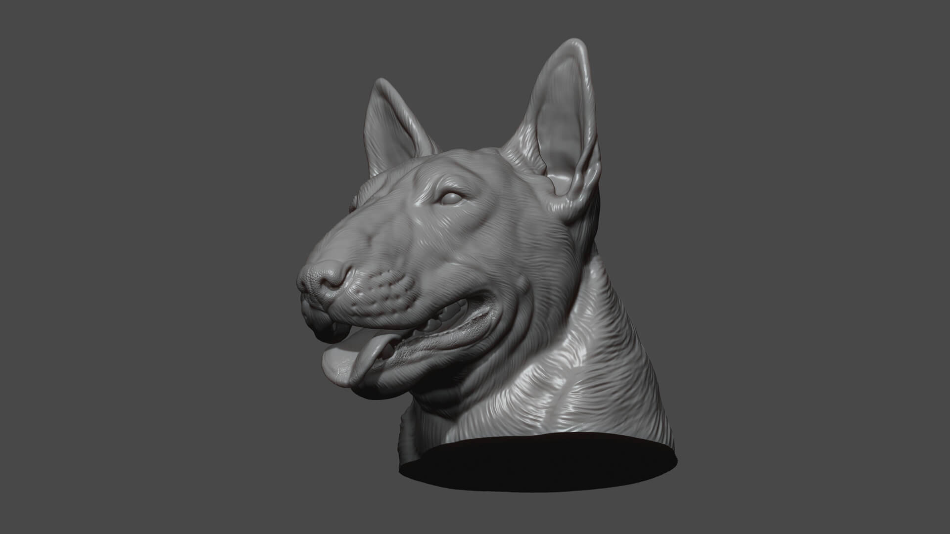 Bull Terrier Head - 3D Model by guninnik81