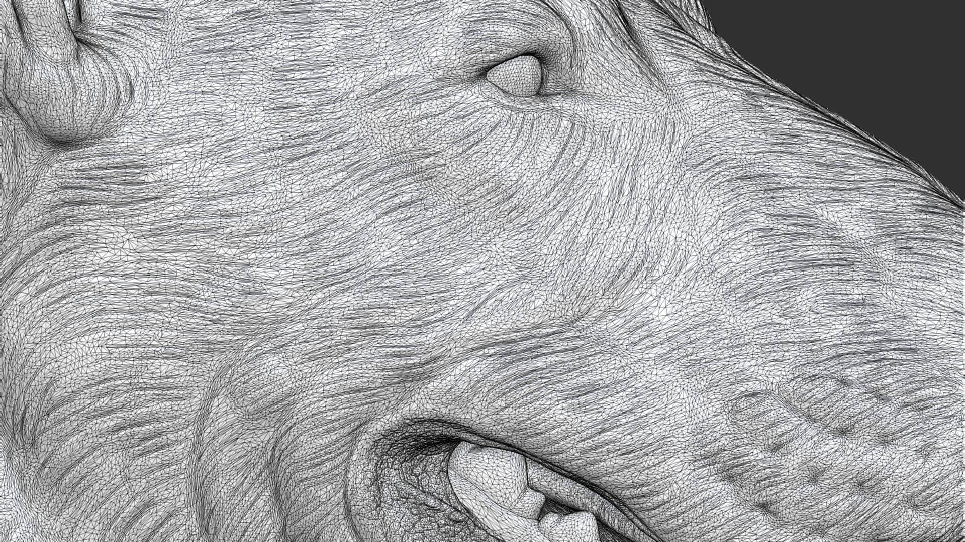 Bull Terrier Head - 3D Model by guninnik81