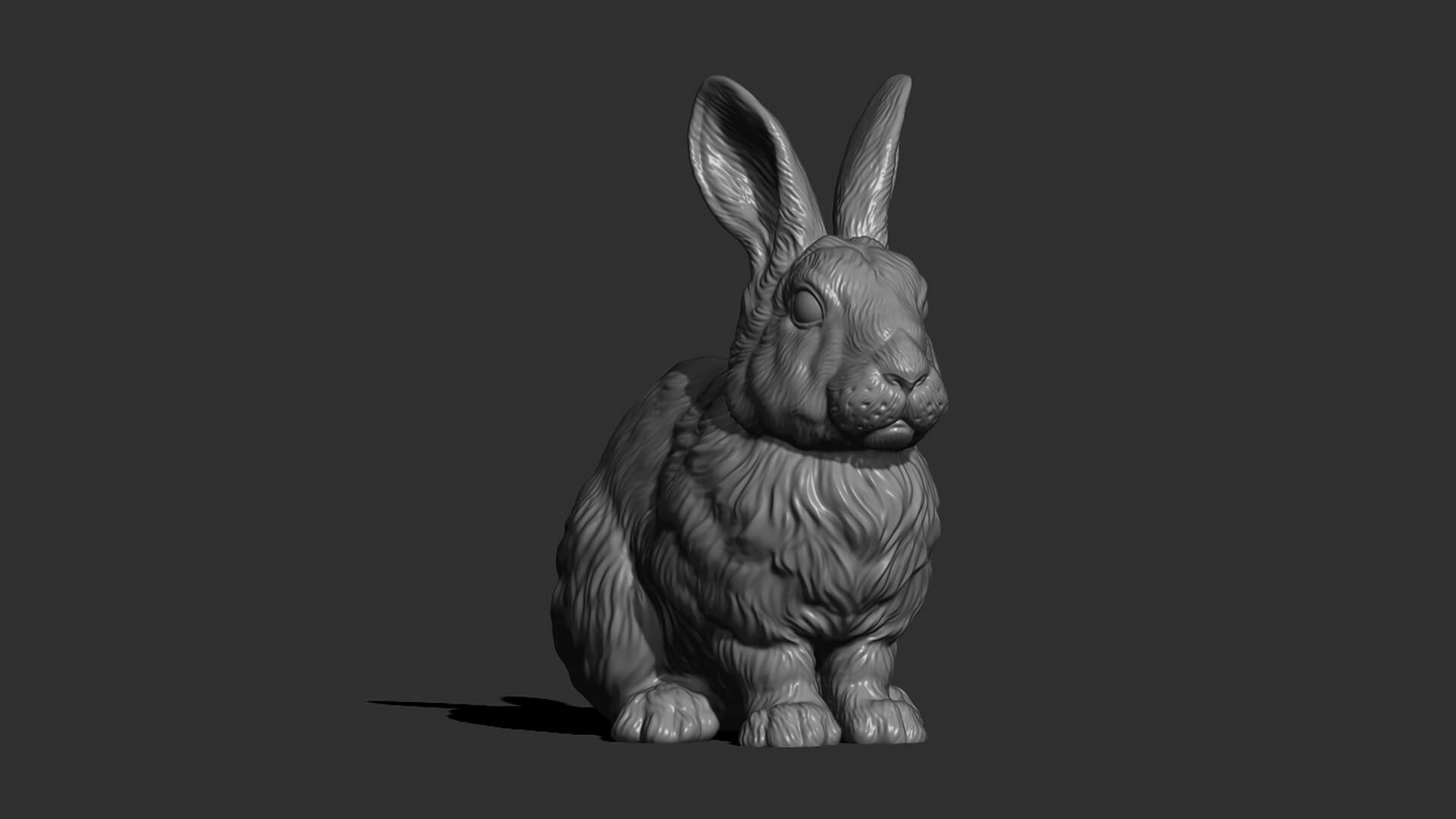 Bunny - 3D Model by guninnik81