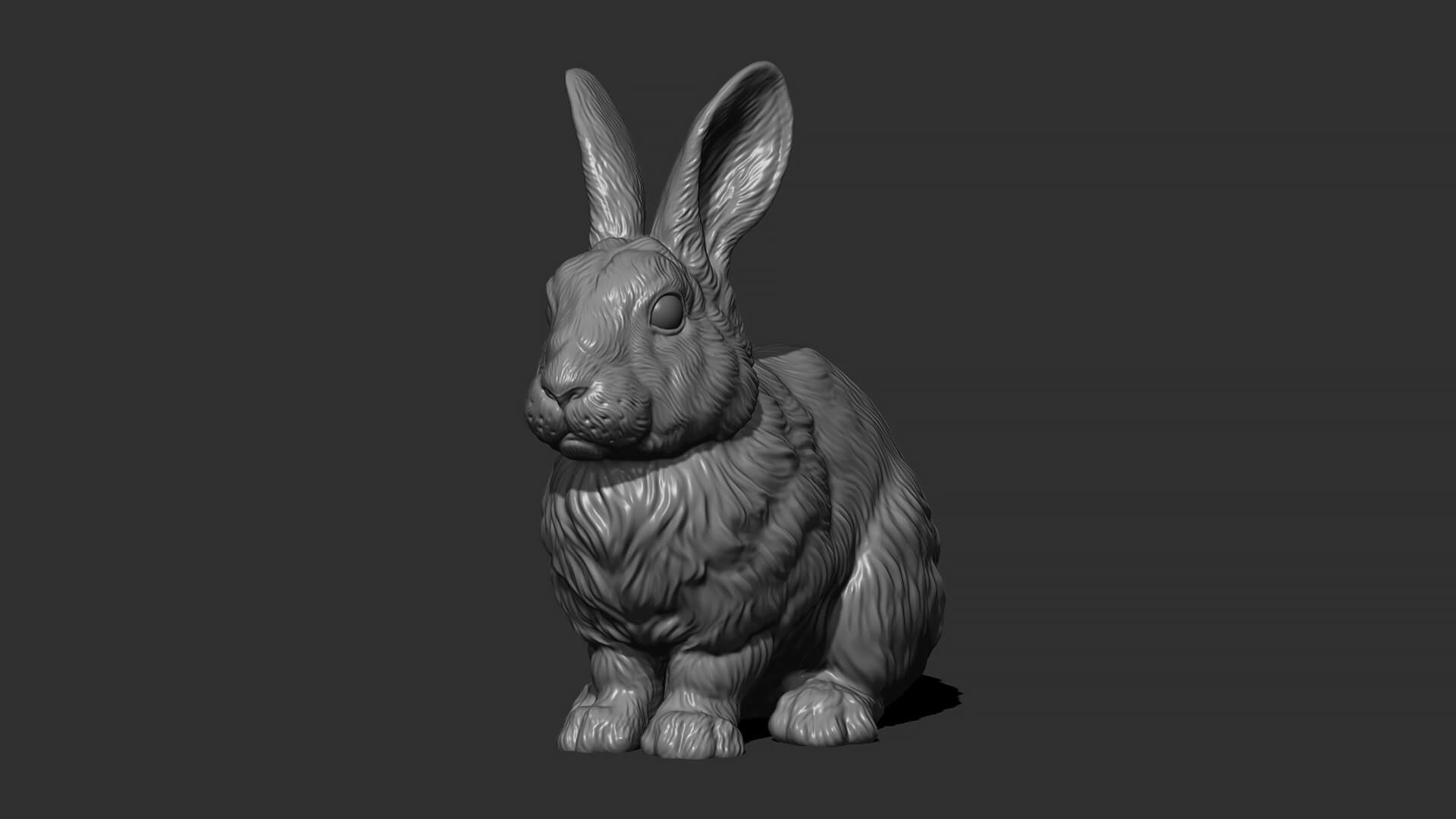 Bunny - 3D Model by guninnik81