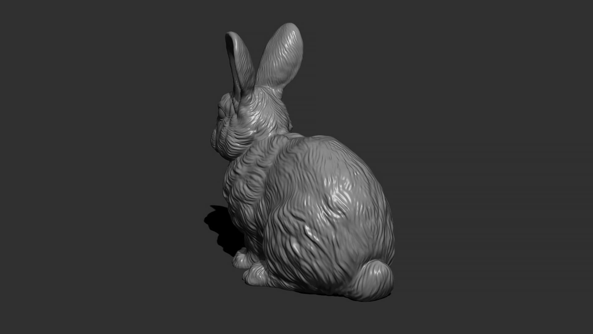 Bunny - 3D Model by guninnik81