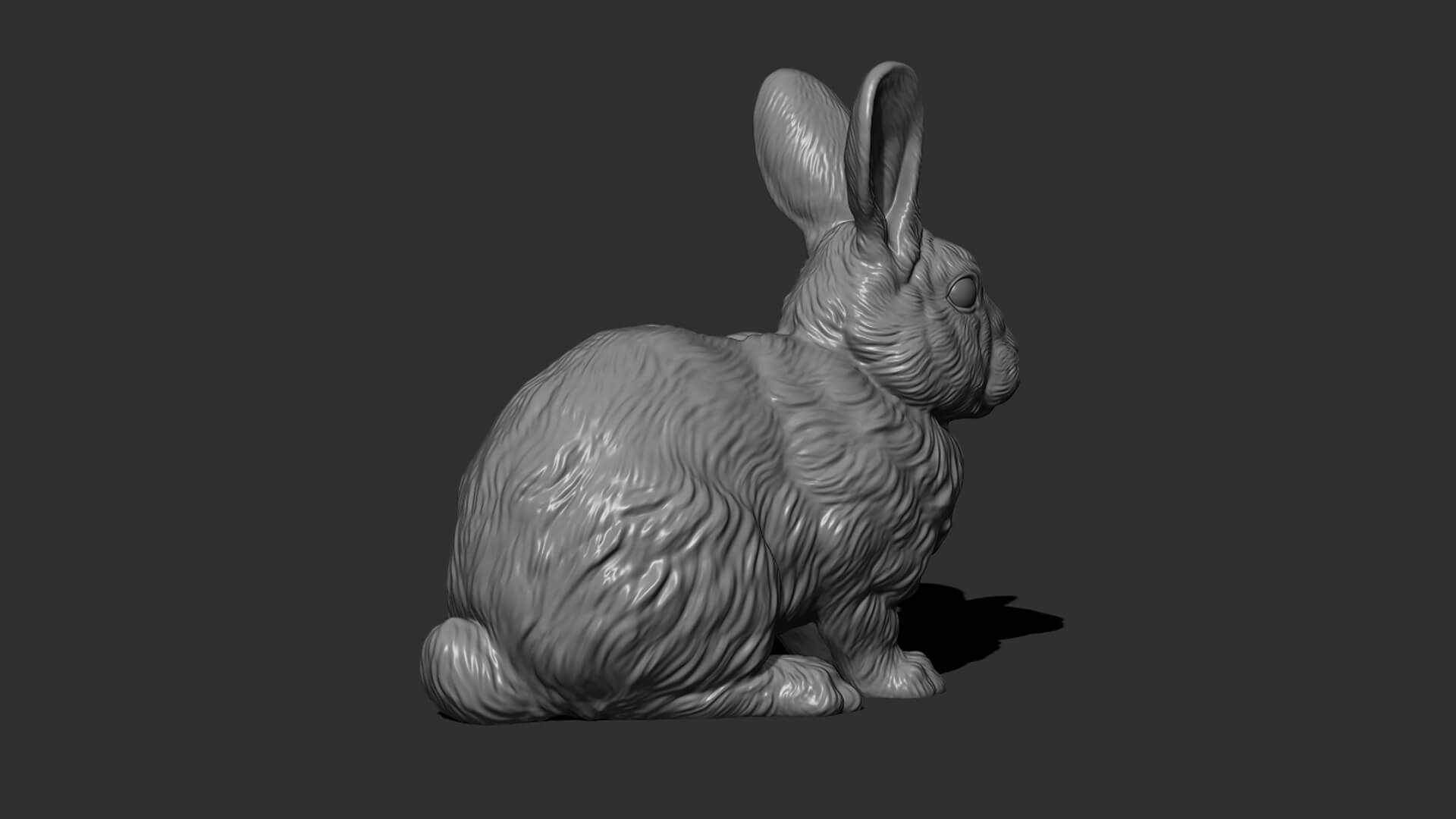 Bunny - 3D Print Model by guninnik81