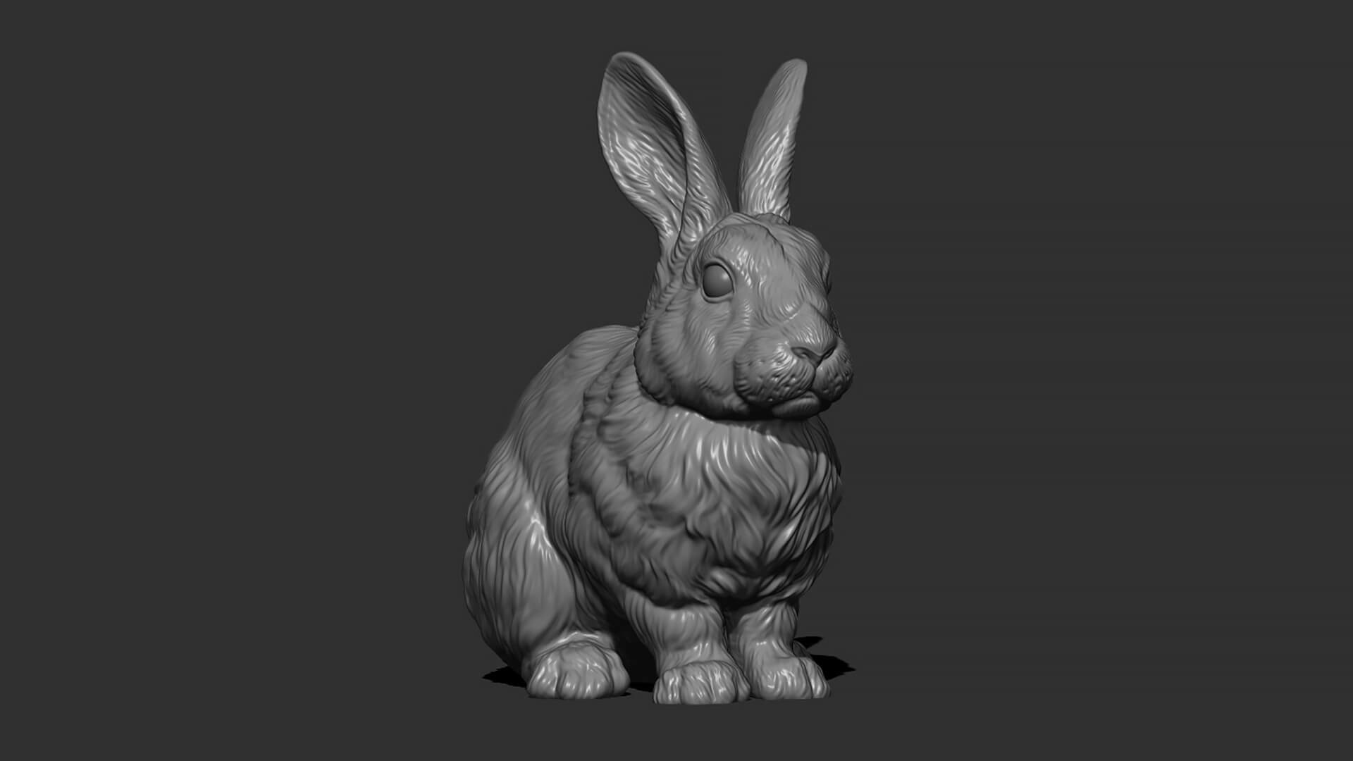 Bunny - 3D Model by guninnik81