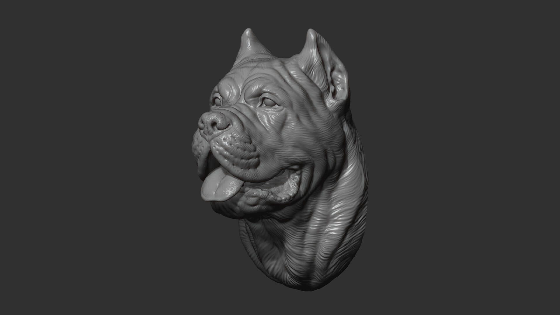 Canne Corso Bust Version 1 - 3D Model by guninnik81