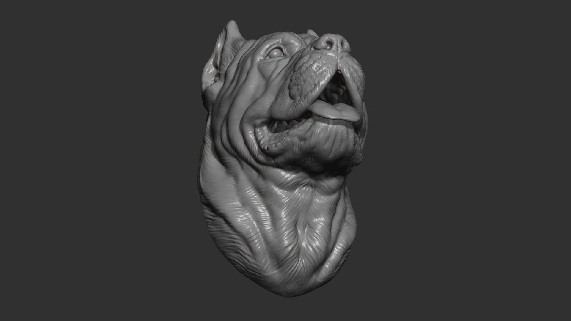 Canne Corso Bust Version 1 - 3D Model by guninnik81