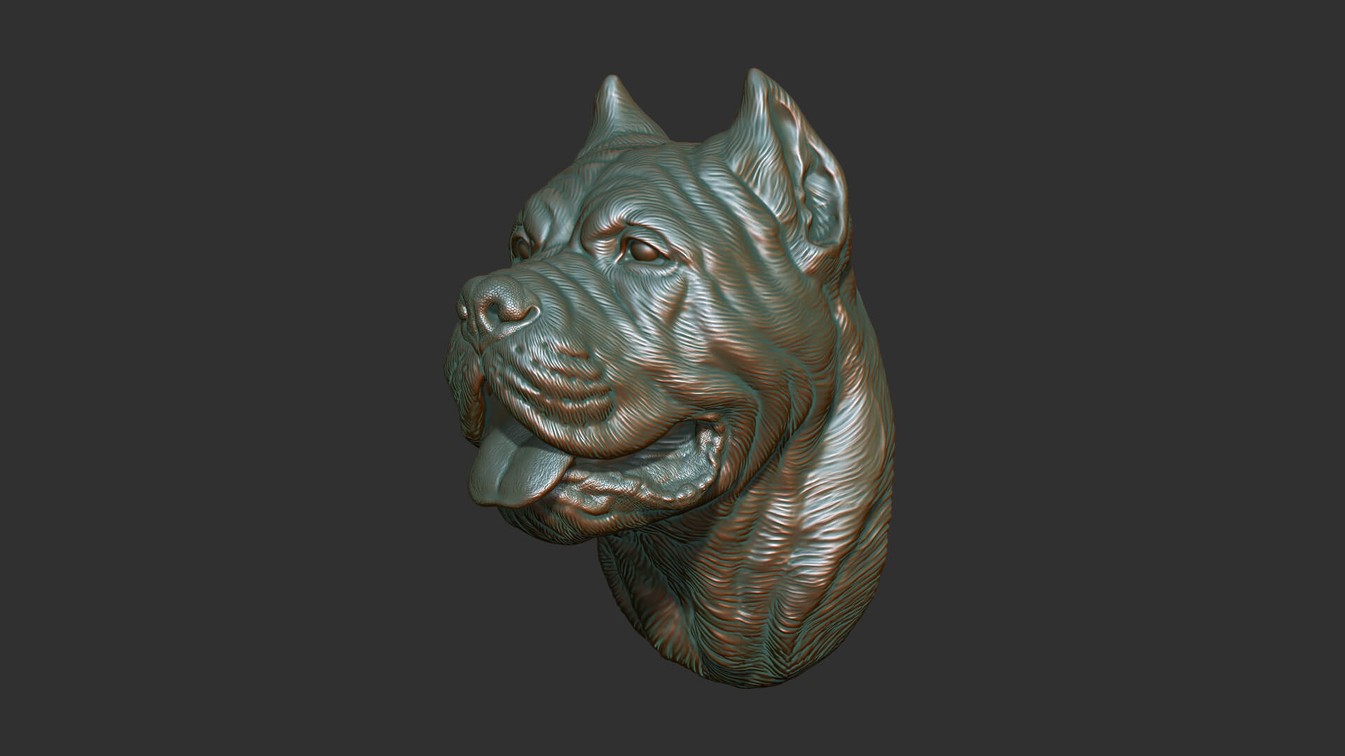 Canne Corso Bust Version 1 - 3D Model by guninnik81