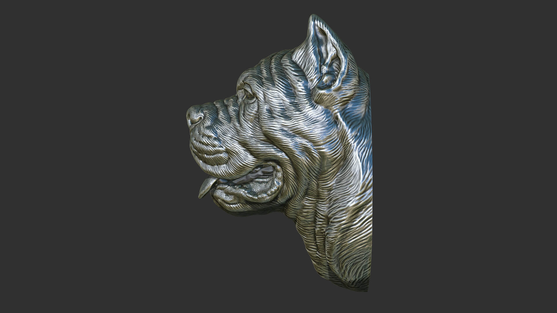 Canne Corso Bust Version 1 - 3D Model by guninnik81