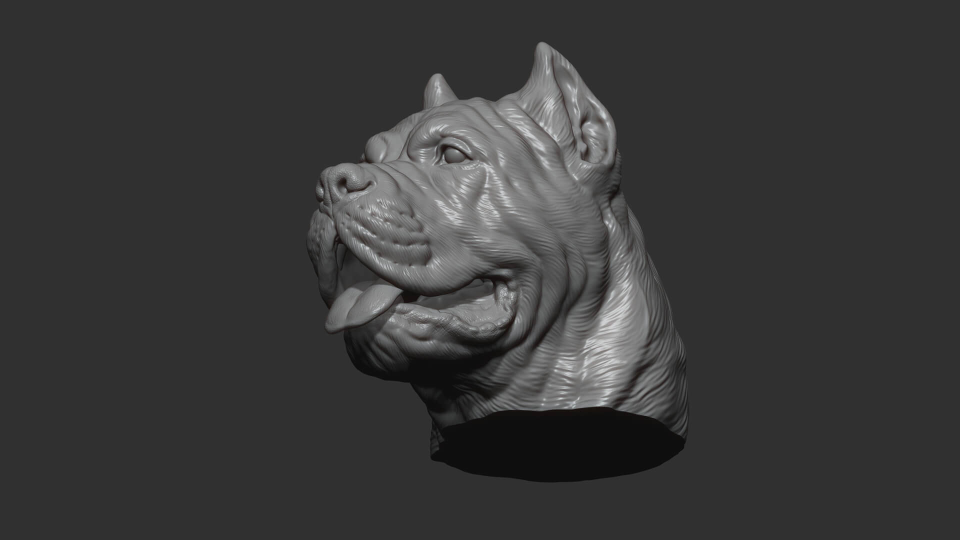 Canne Corso Bust Version 1 - 3D Model by guninnik81