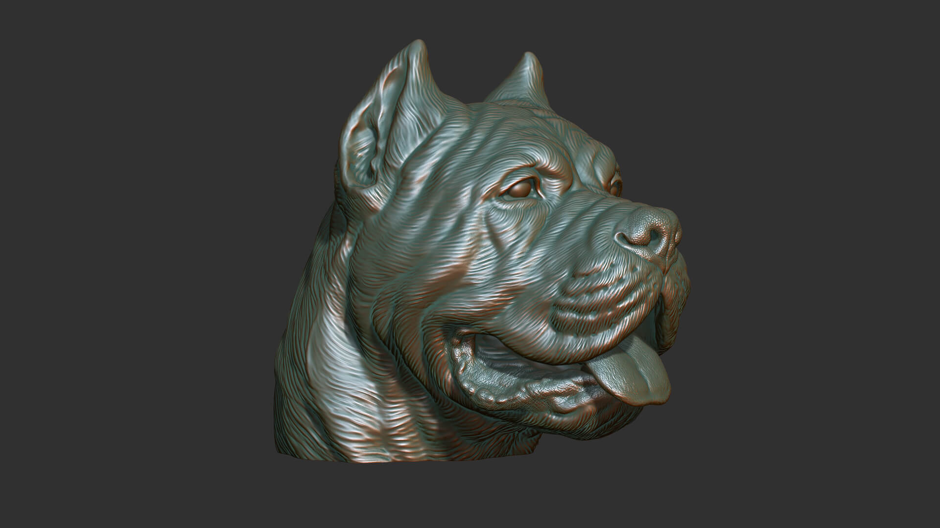 Canne Corso Bust Version 1 - 3D Model by guninnik81