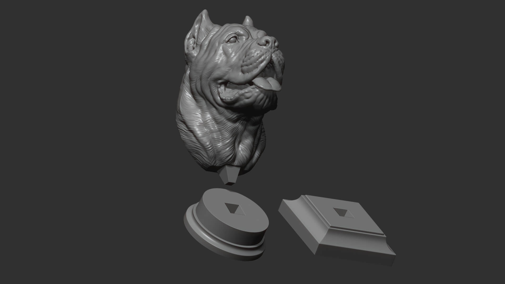 Canne Corso Bust Version 1 - 3D Model by guninnik81