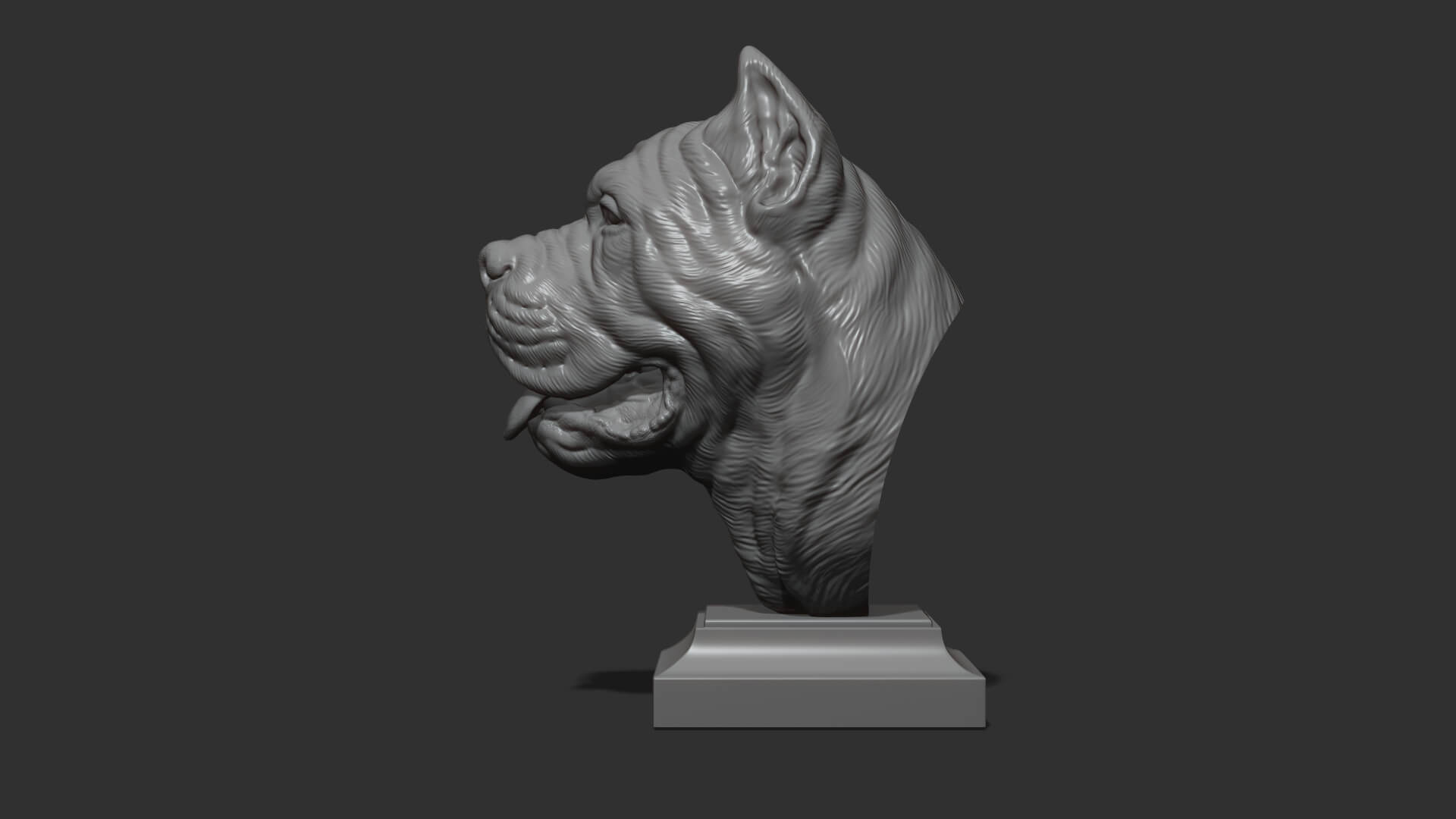 Canne Corso Bust Version 1 - 3D Print Model by guninnik81