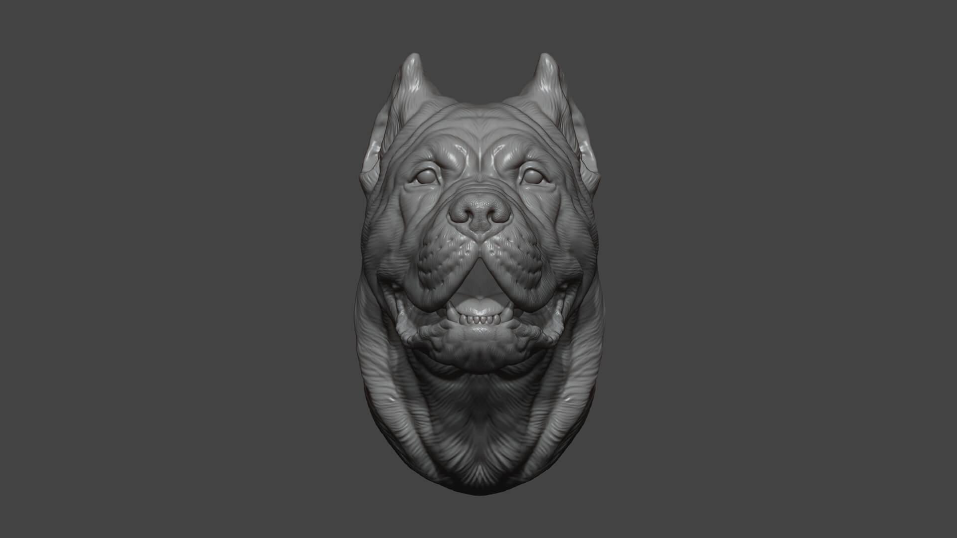 Canne Corso Bust Version 2 - 3D Model by guninnik81