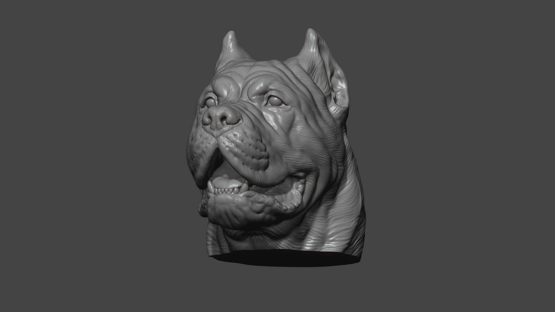 Canne Corso Bust Version 2 - 3D Model by guninnik81