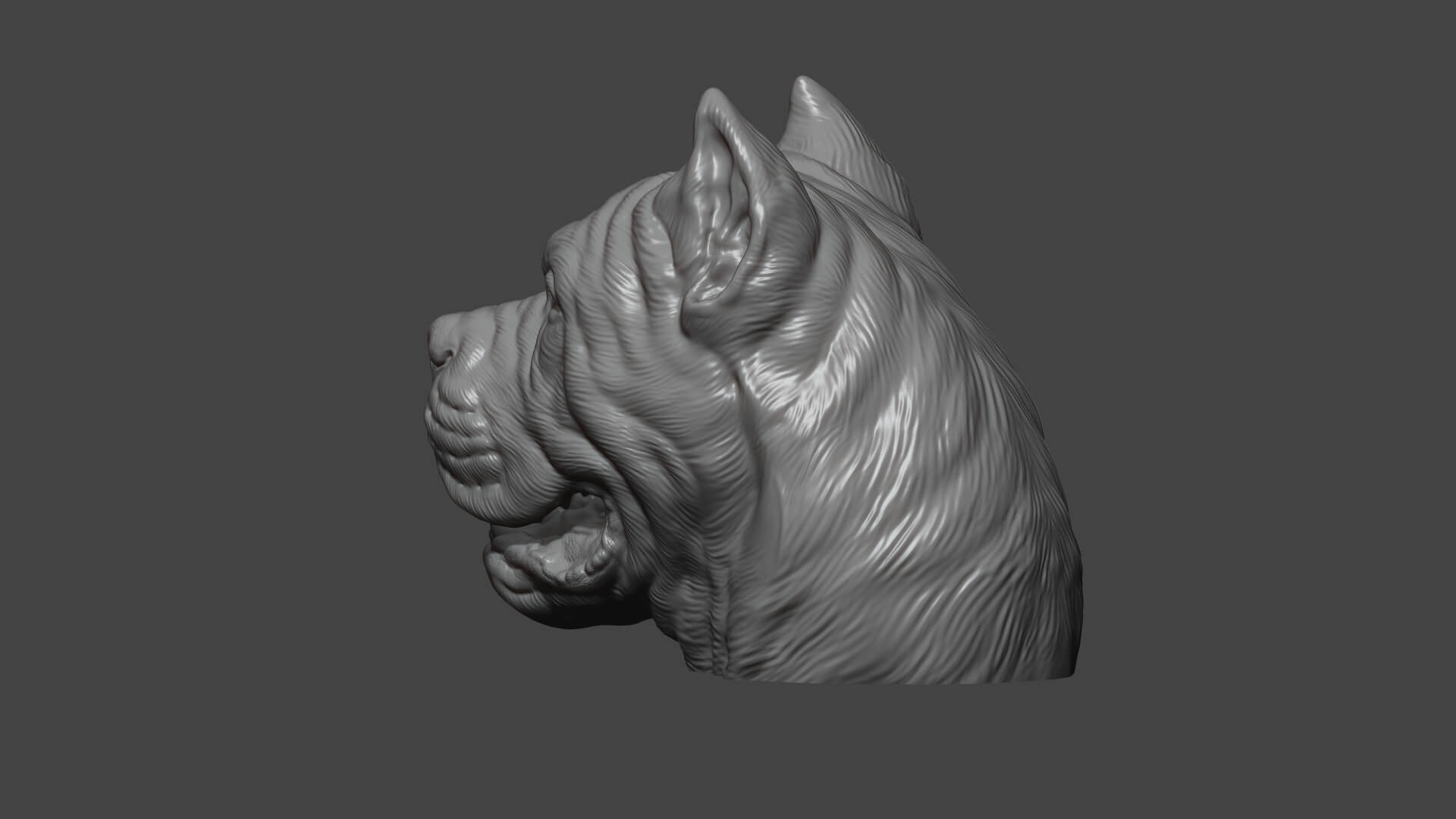 Canne Corso Bust Version 2 - 3D Model by guninnik81