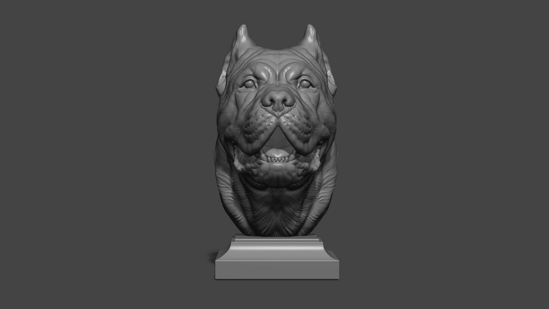 Canne Corso Bust Version 2 - 3D Model by guninnik81