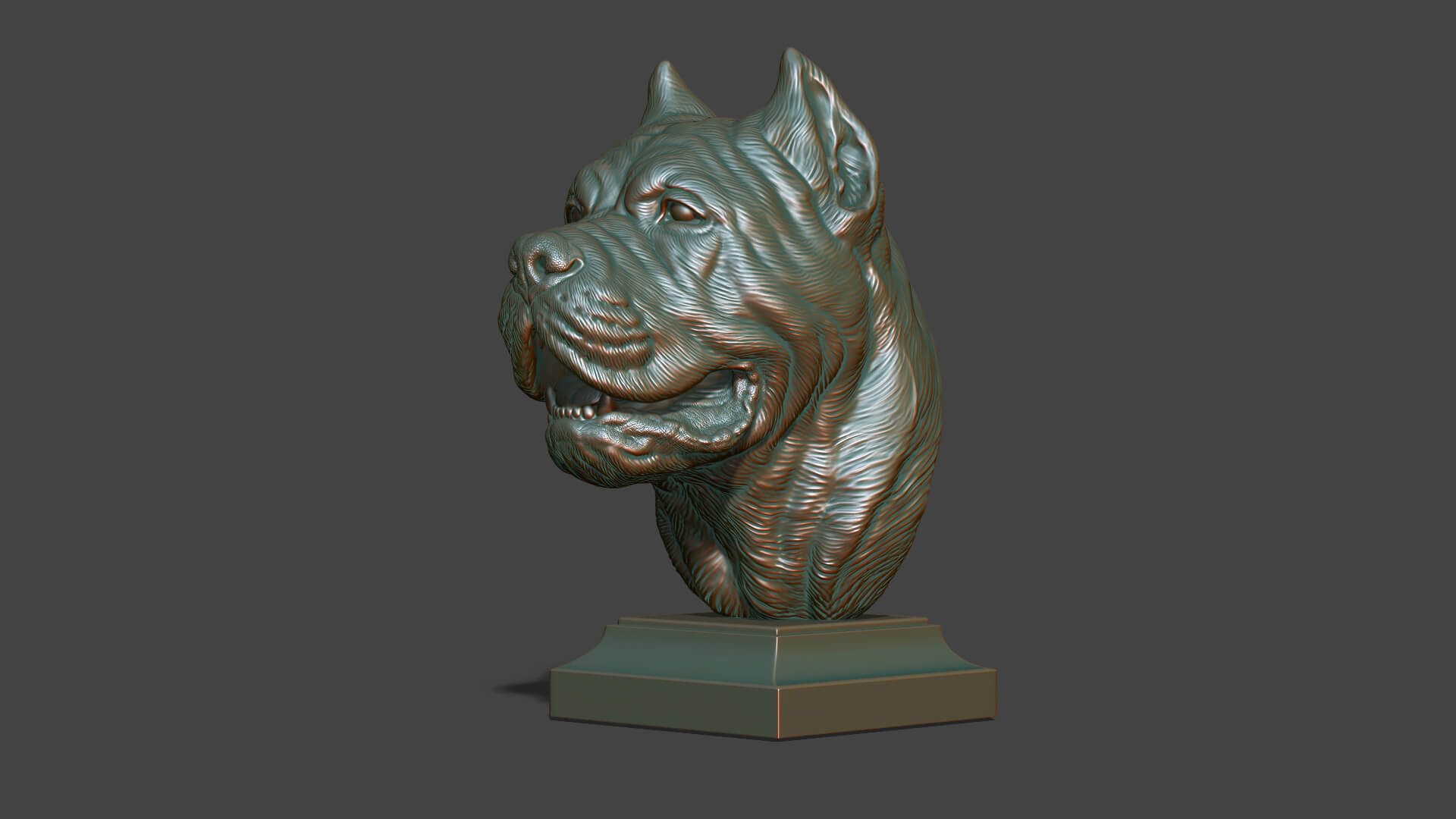 Canne Corso Bust Version 2 - 3D Model by guninnik81