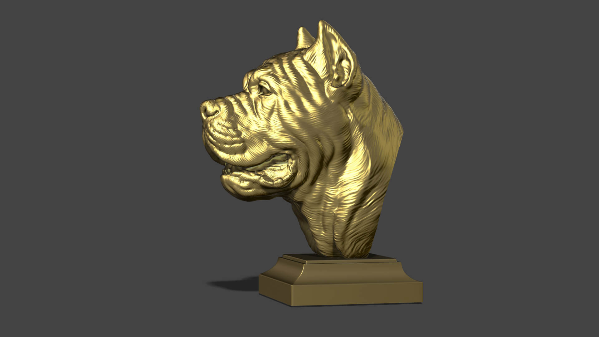 Canne Corso Bust Version 2 - 3D Model by guninnik81