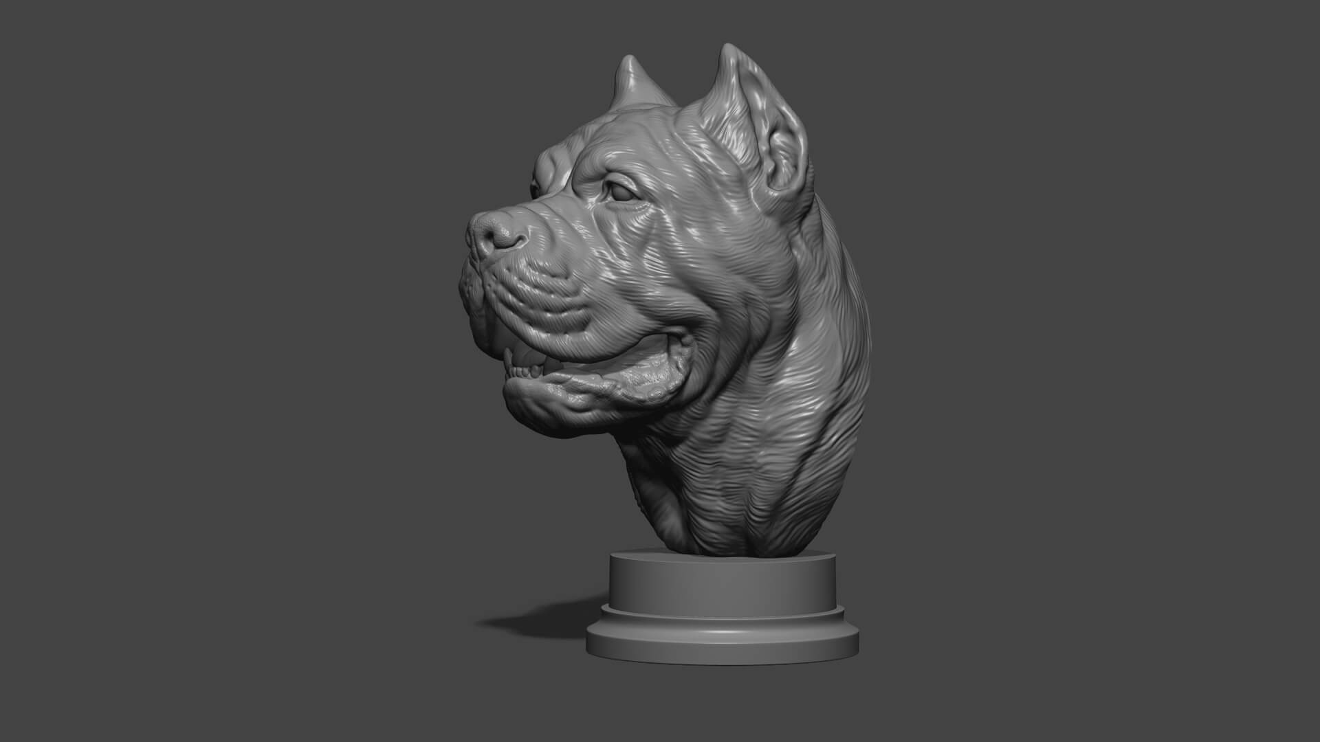 Canne Corso Bust Version 2 - 3D Model by guninnik81