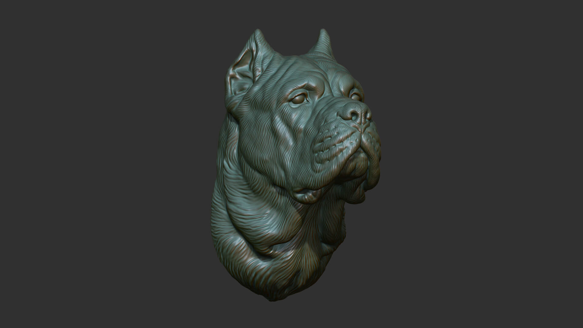 Canne Corso Dog - 3D Print Model by guninnik81