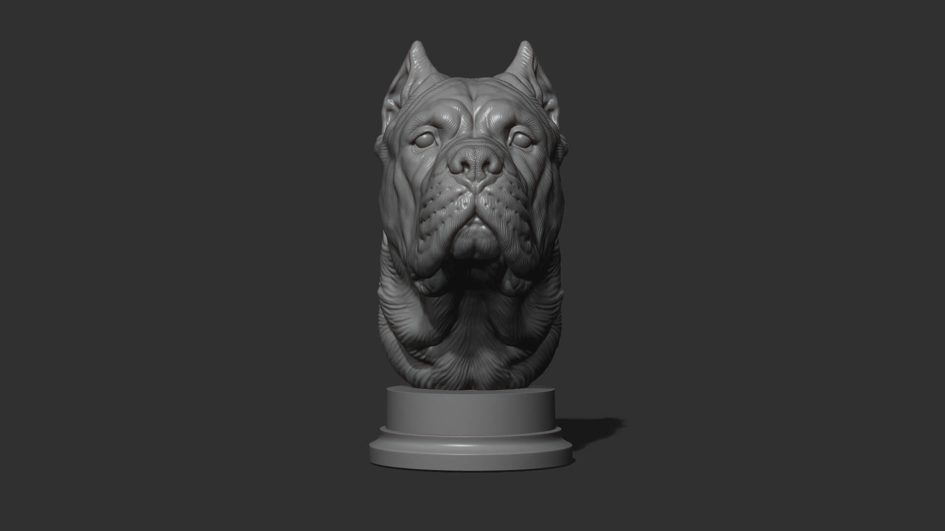 Canne Corso Dog - 3D Model by guninnik81