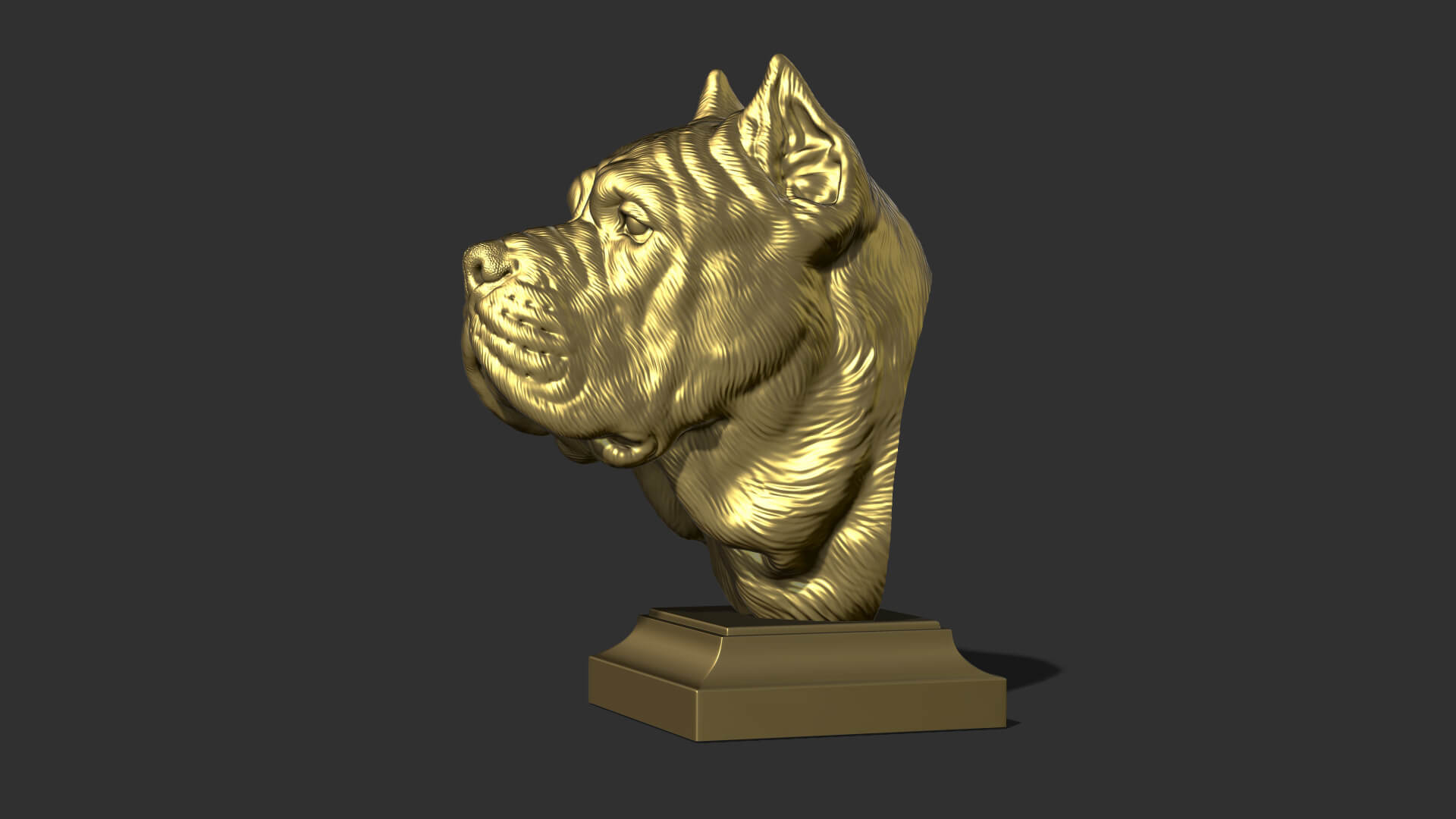 Canne Corso Dog - 3D Print Model by guninnik81
