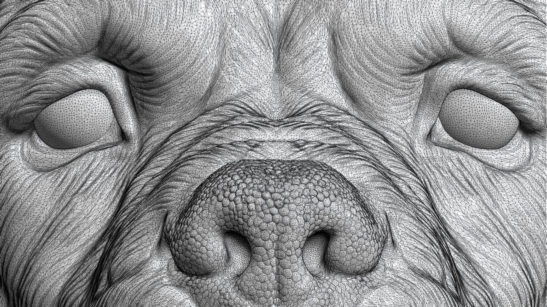 Canne Corso Dog - 3D Print Model by guninnik81