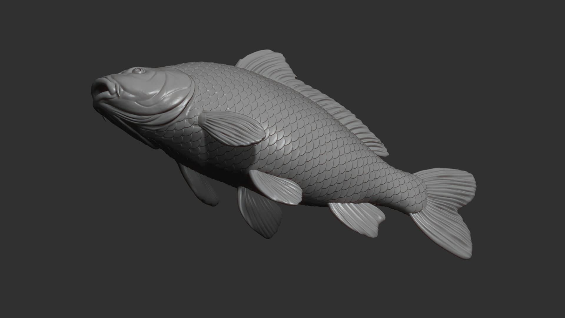 Carp Fish on The Base - 3D Model by guninnik81