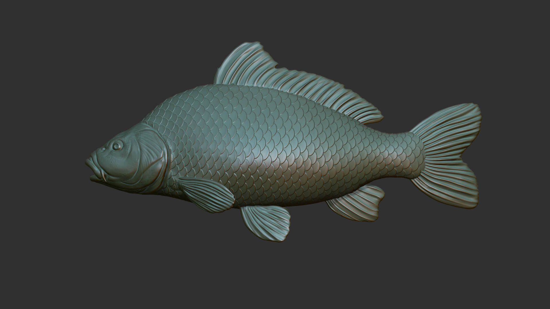 Carp Fish on The Base - 3D Model by guninnik81
