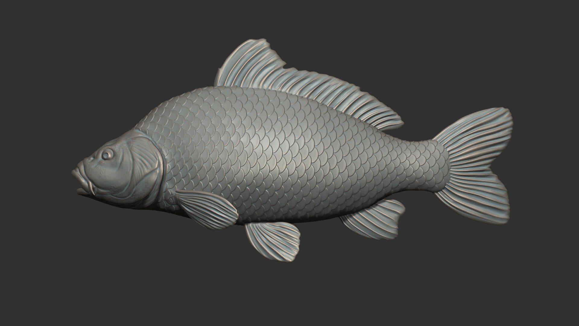 Carp Fish on The Base - 3D Model by guninnik81