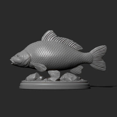 Print Ready 3D Models | Decor | Fish | RenderHub