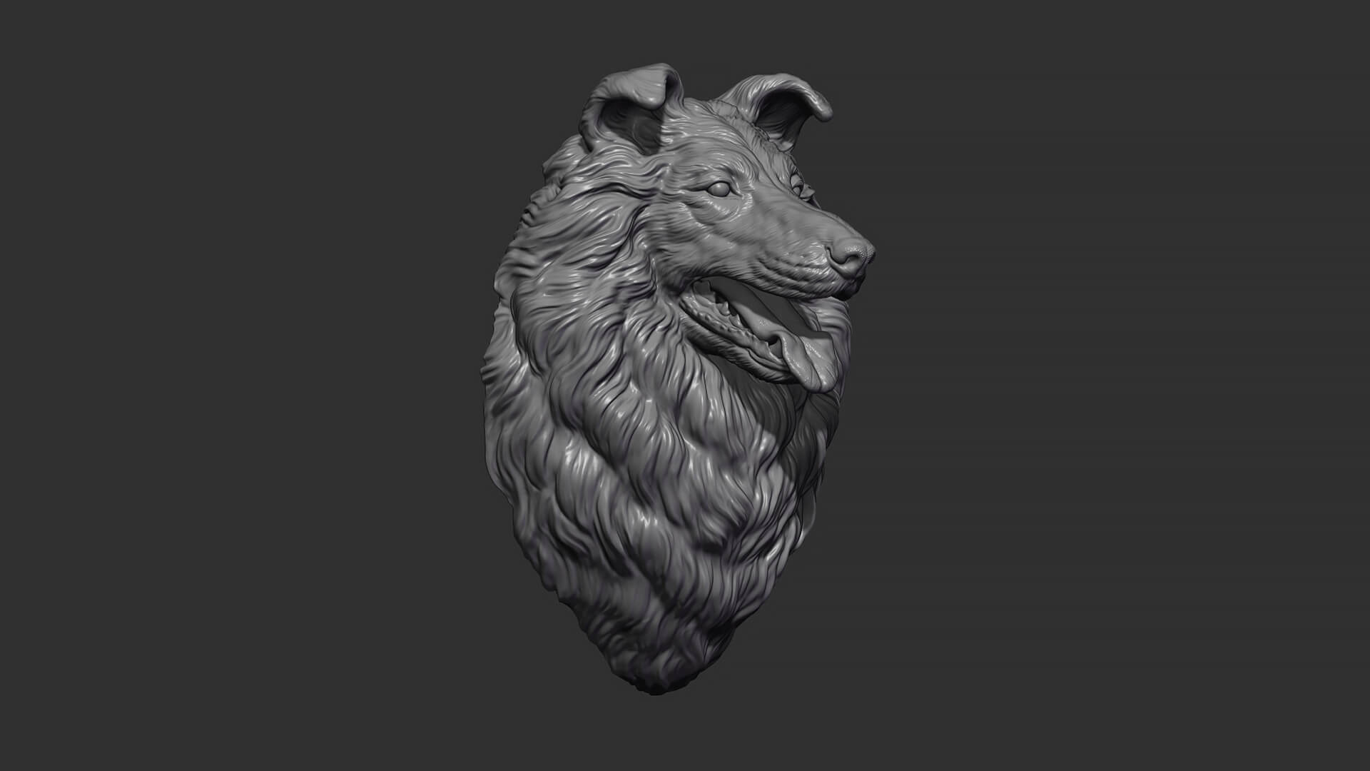 Collie Dog Head - 3D Model by guninnik81