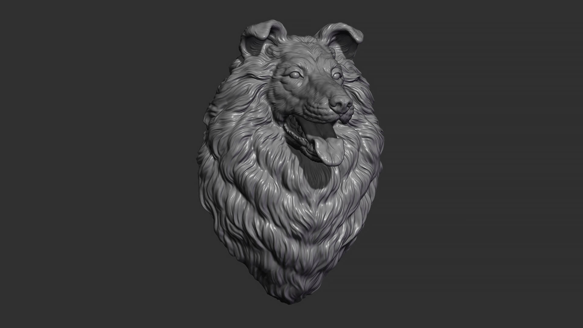 Collie Dog Head - 3D Model by guninnik81