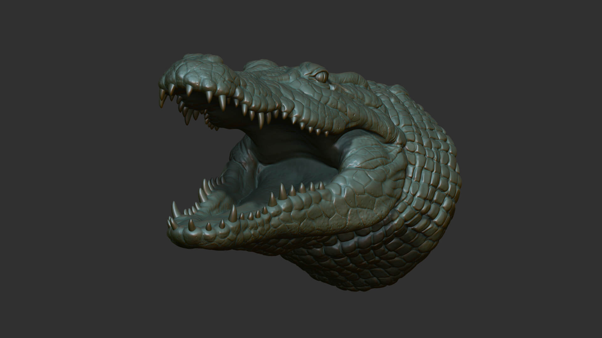 Crocodile Head - 3D Print Model by guninnik81
