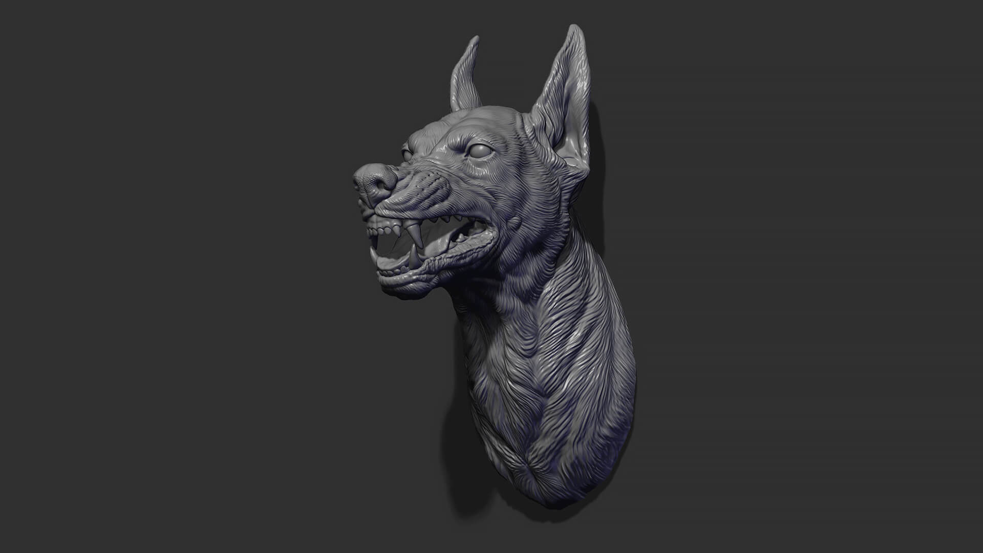 Doberman Head Profile