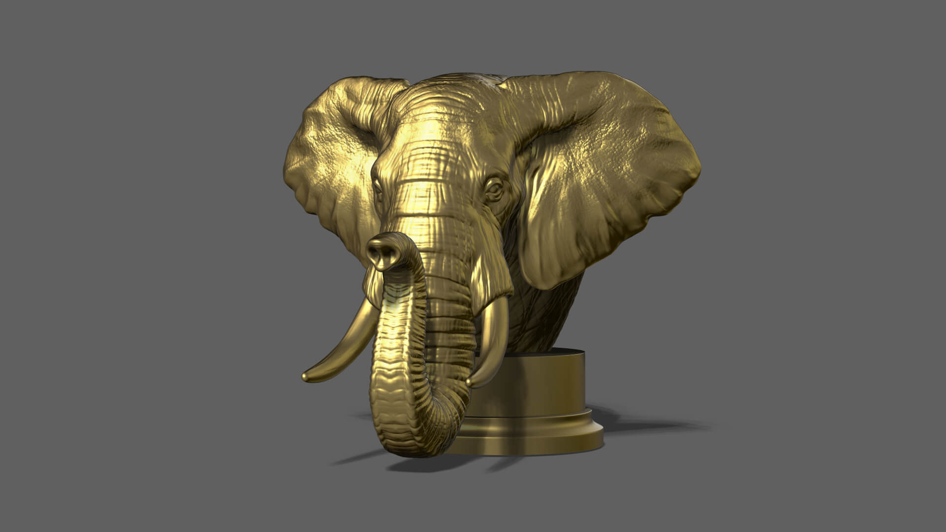 Elephant Head Bust - 3D Model by guninnik81