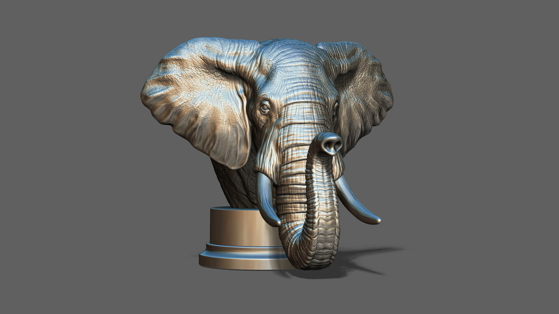 Elephant Head Bust - 3D Model by guninnik81
