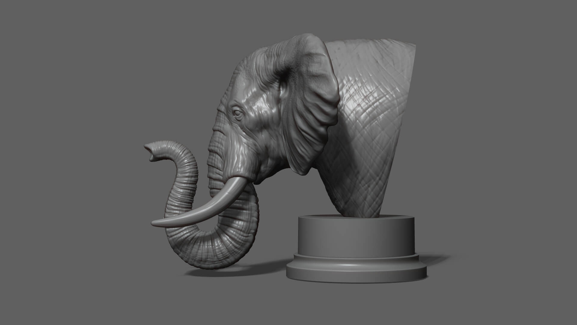 Elephant Head Bust - 3D Model by guninnik81