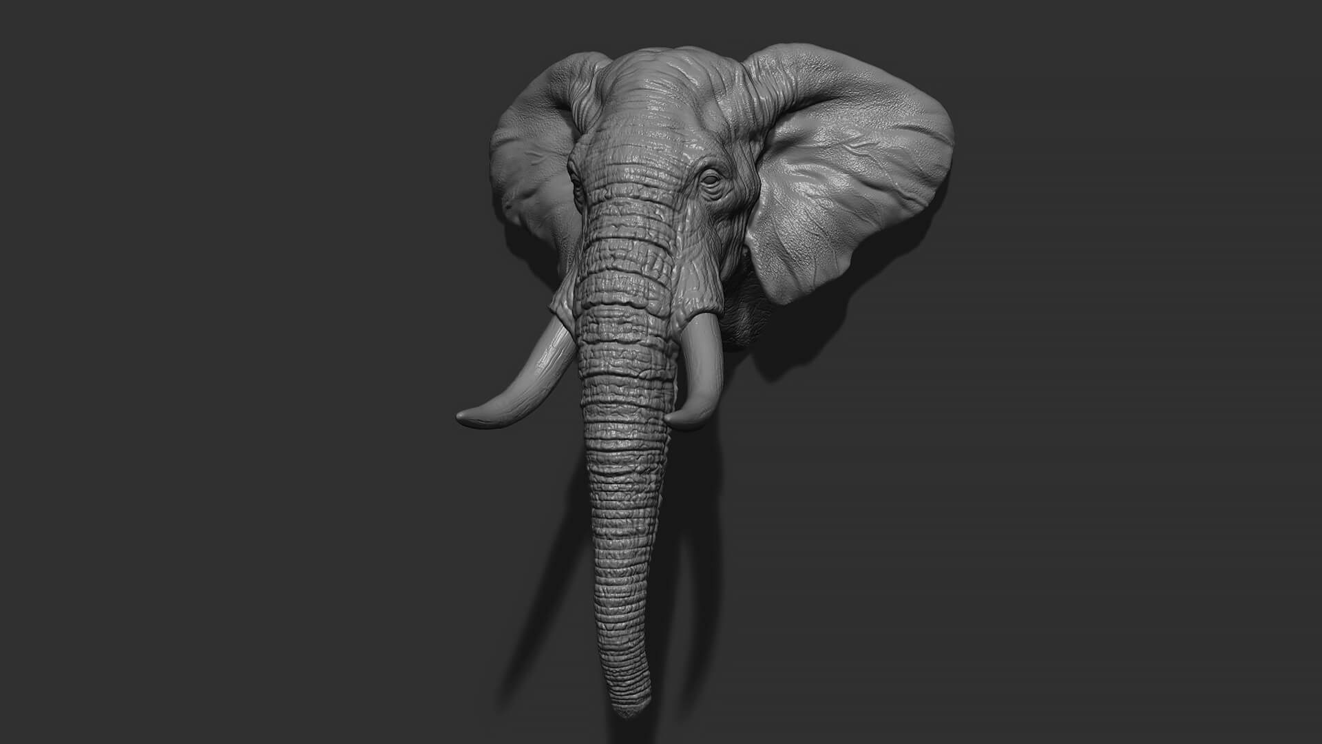 Elephant Head With Tusks - 3D Model by guninnik81