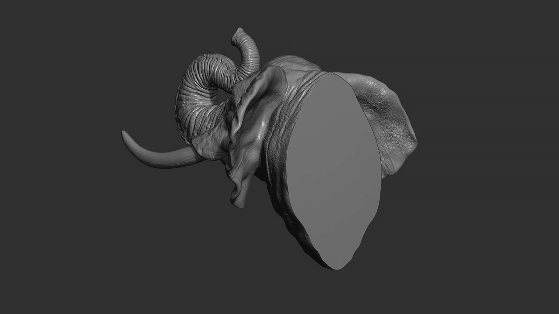 Elephant Raised Its Trunk - 3D Model by guninnik81