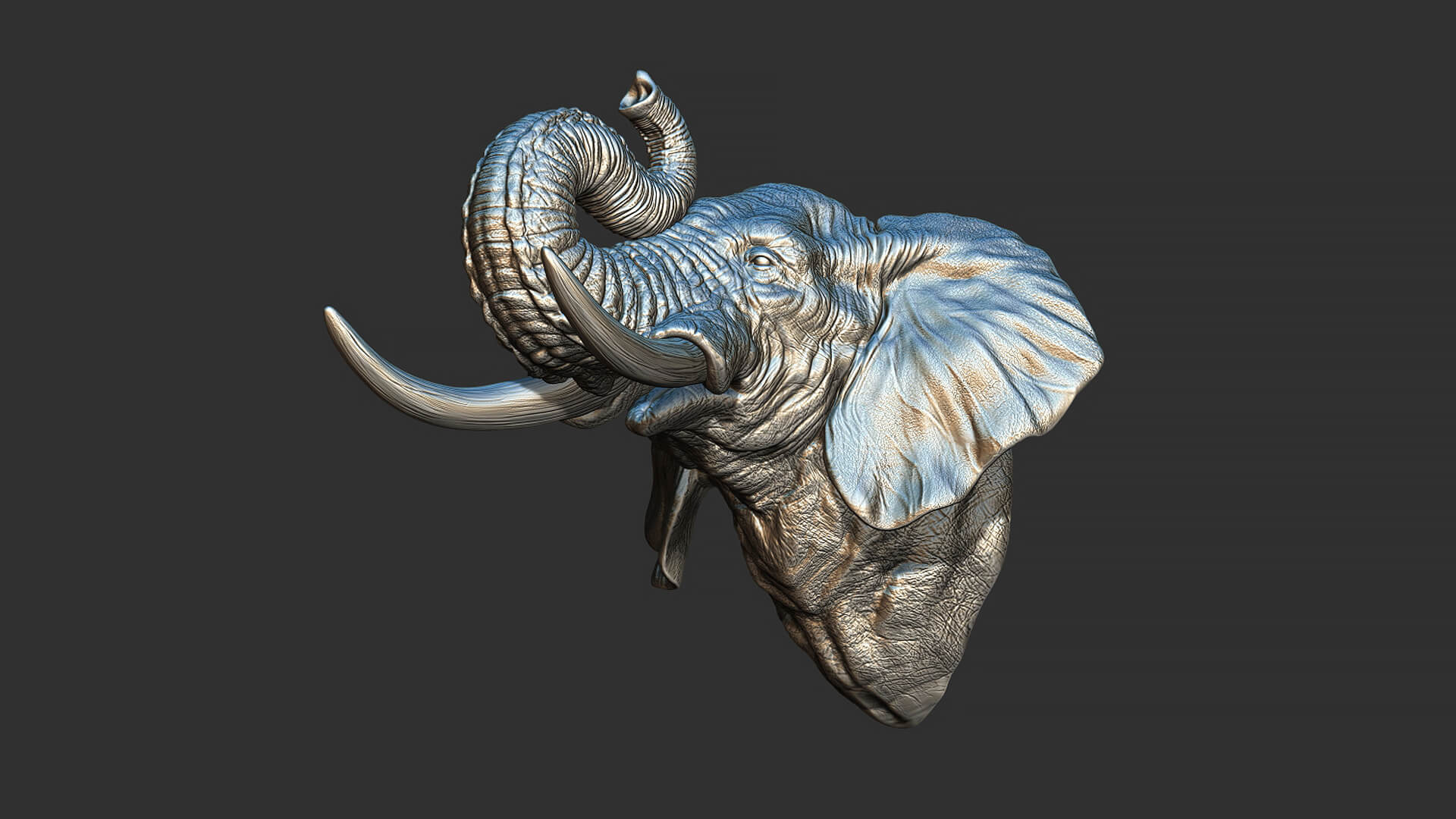 Elephant Raised Its Trunk - 3D Model by guninnik81