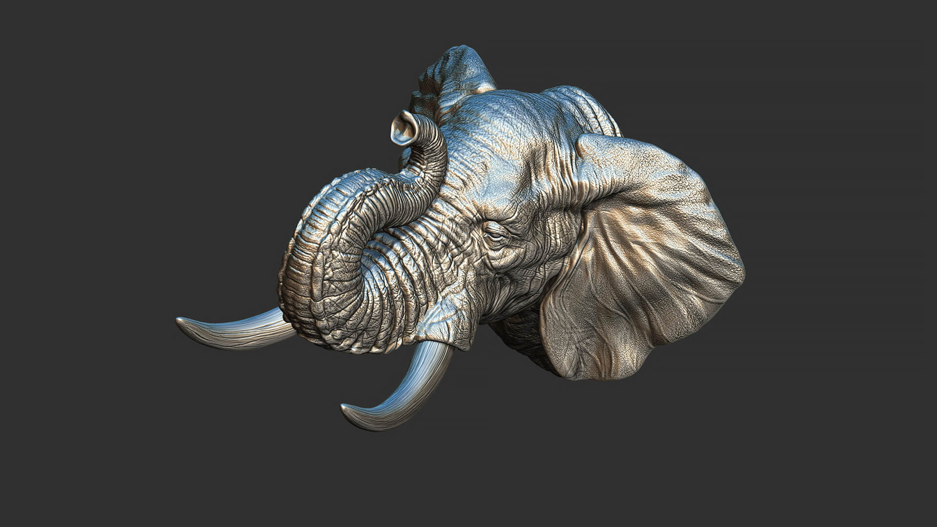 Elephant Raised Its Trunk - 3D Model by guninnik81