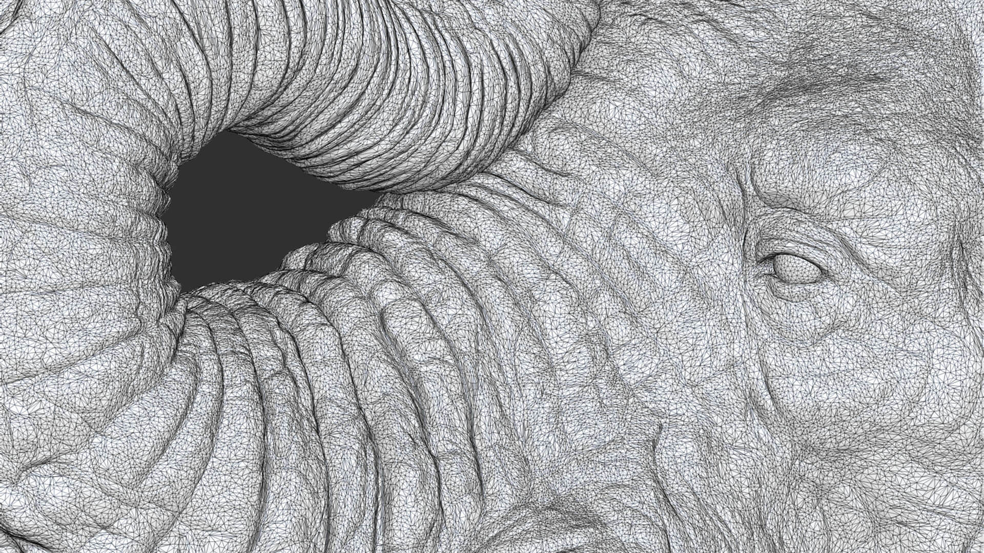 Elephant Raised Its Trunk - 3D Model by guninnik81