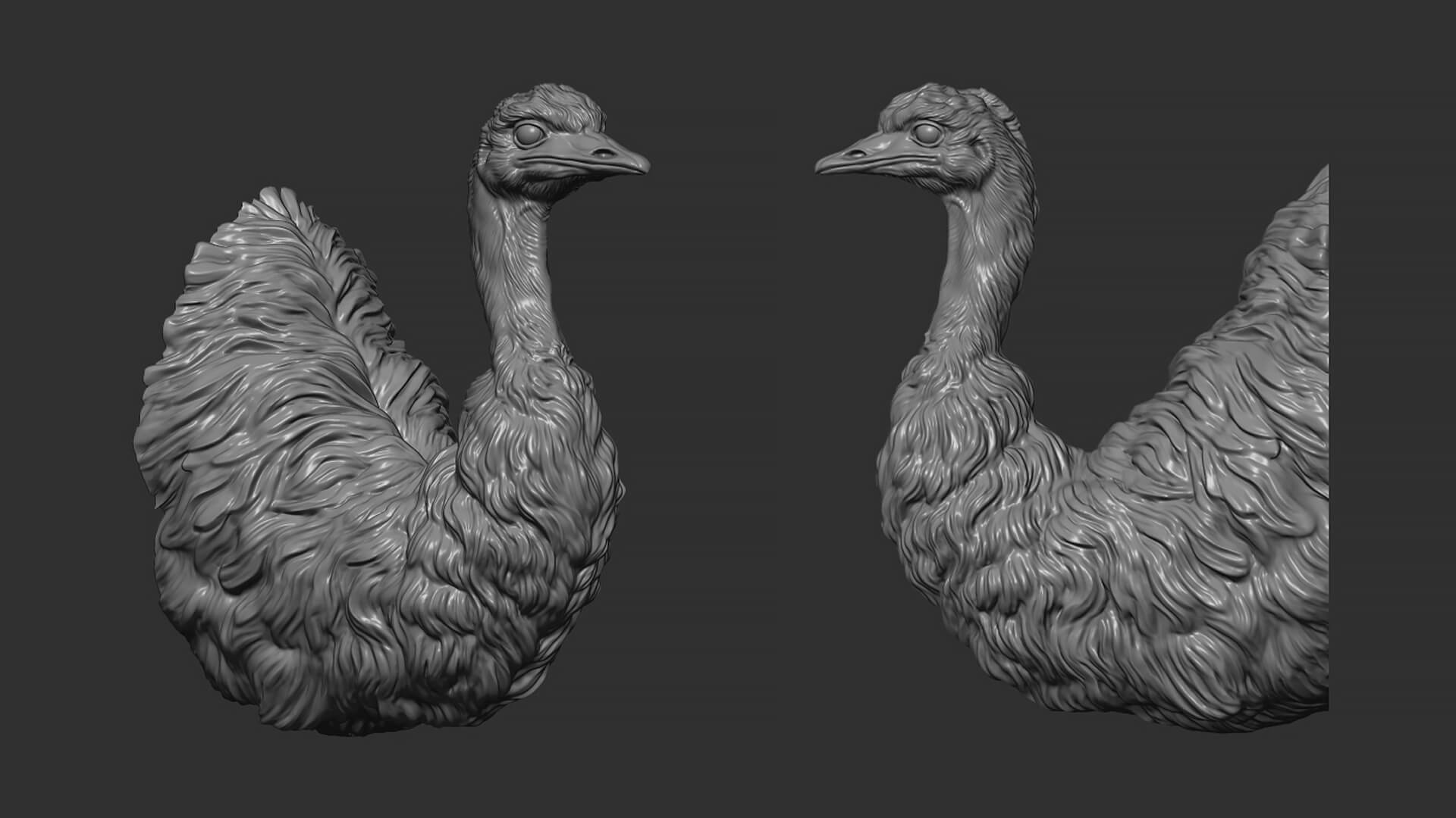 EMU Ostrich Bust - 3D Print Model by guninnik81